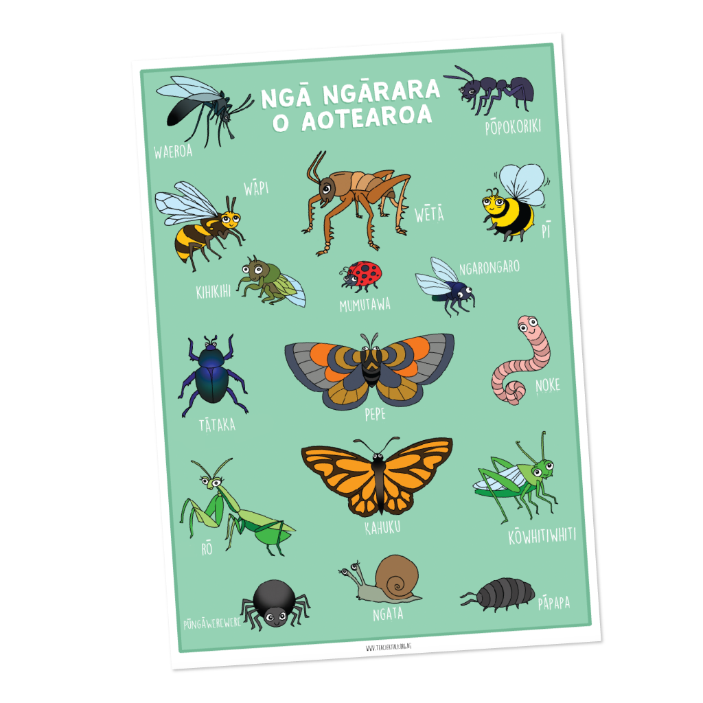 Ngā Te Reo Māori Tikiake – Page 3 – TeacherTalk