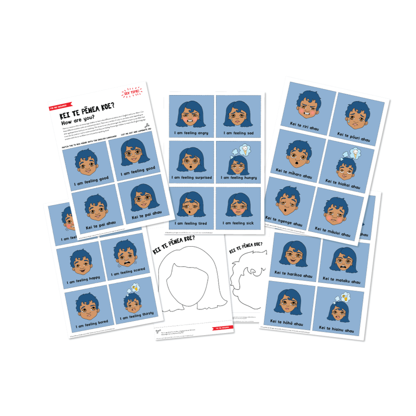 Emotions Cards in Te Reo Māori - Download – TeacherTalk