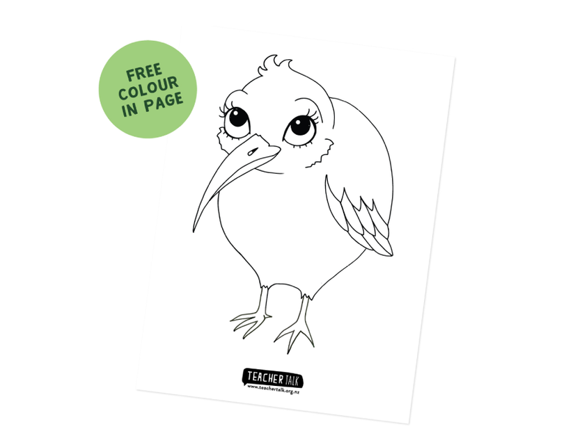 Kiwi colour in - Download – TeacherTalk